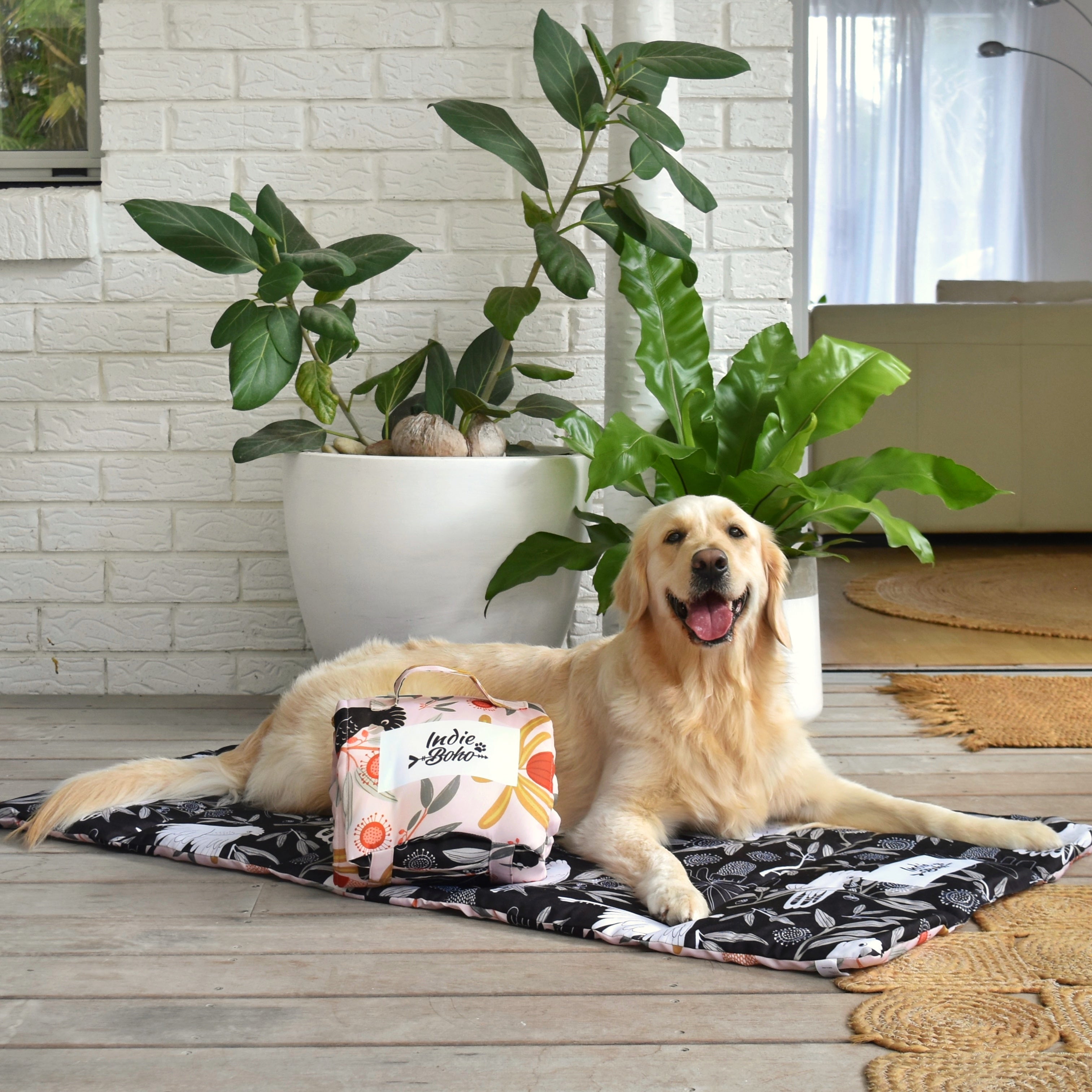 Sunset Cockatoo Dog Travel Mat – Indie Boho
