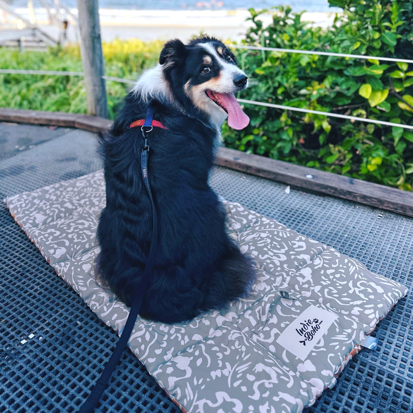 Neutral Brushstrokes Dog Travel Mat - LIMITED Pebble/Bark Release ...