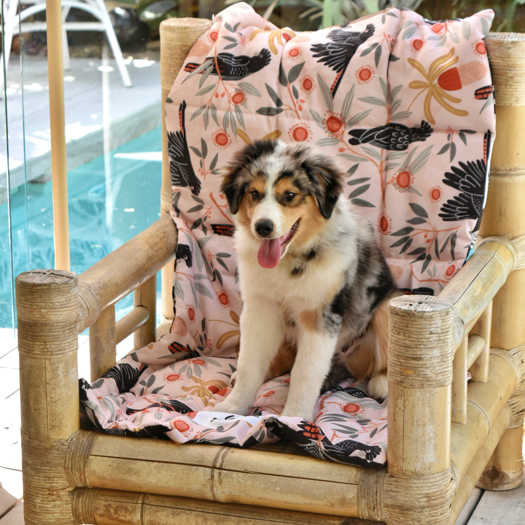 Sunset Cockatoo Dog Travel Mat – Indie Boho