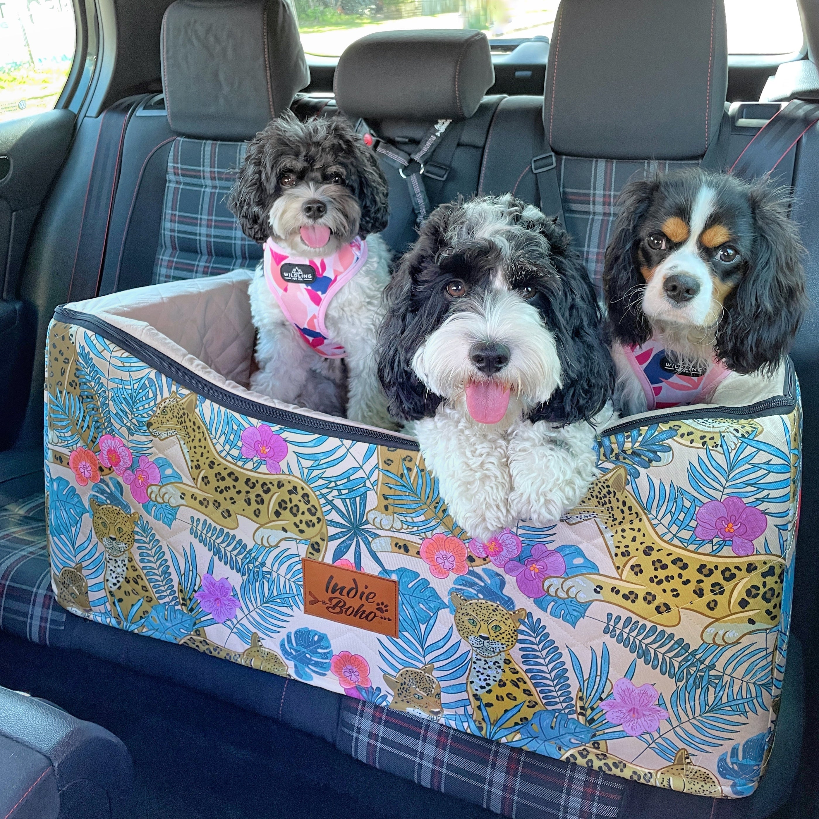 Car Booster Seats DOUBLE Size - Leopard Luxe (Pre-Order) — Indie Boho