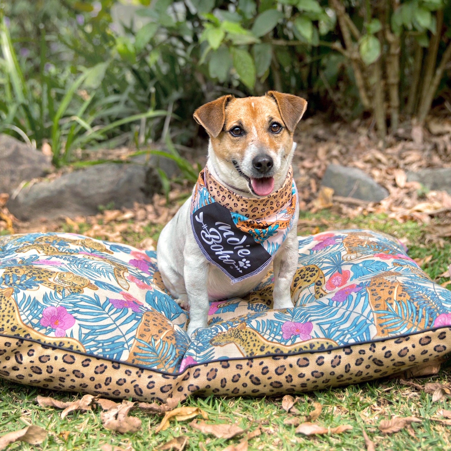 Leopard Luxe Medium Pet Bed – Indie Boho