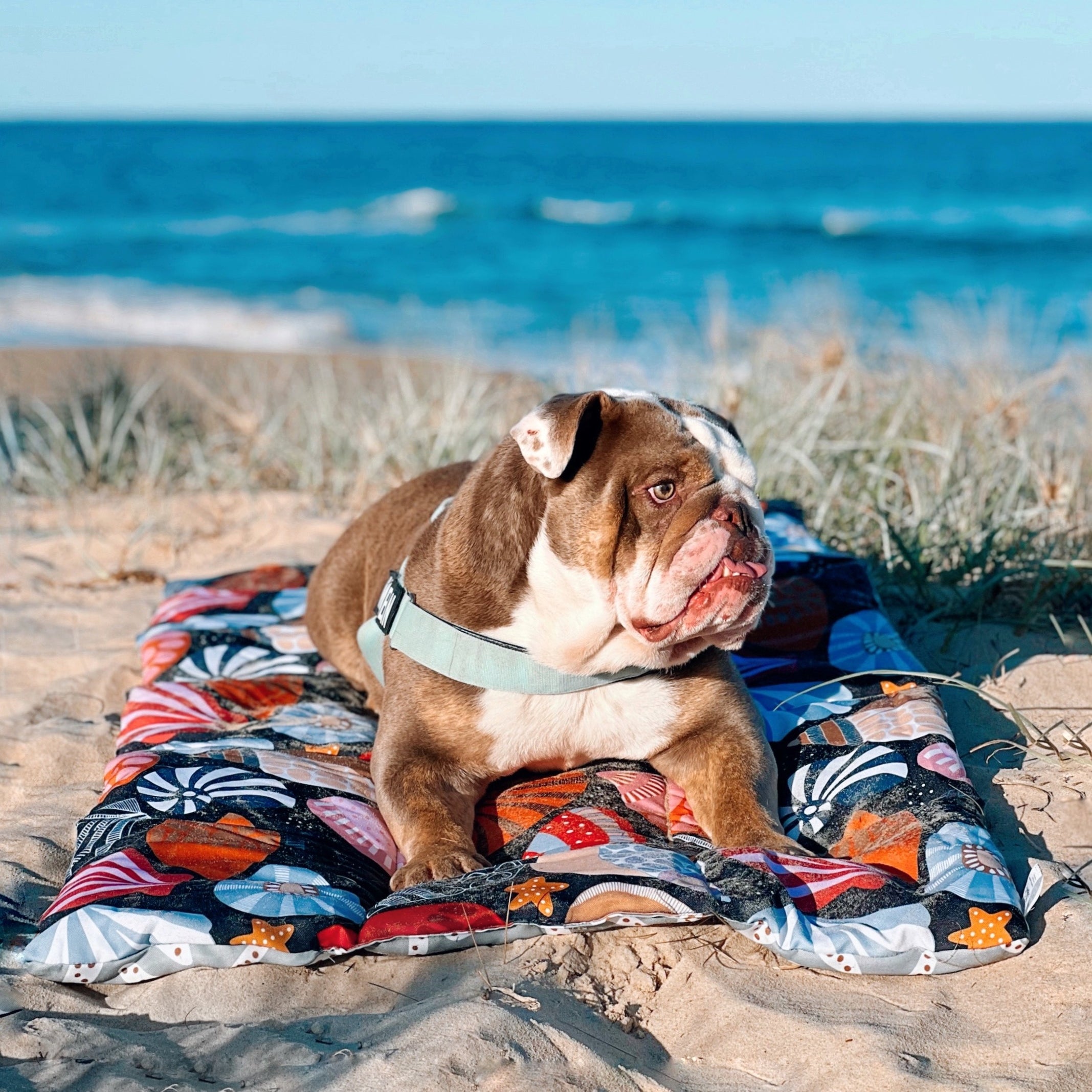 Waterproof Dog Mat | Daydream Shells Dog Travel Mat — Indie Boho